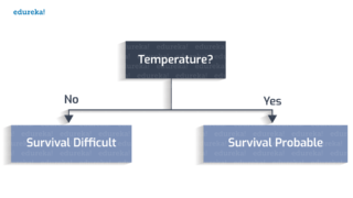 Decision Tree | Decision Tree Introduction With Examples | Edureka