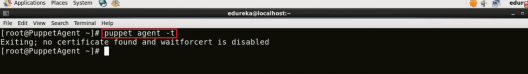 Install Puppet | Install Puppet In Four Simple Steps | Edureka