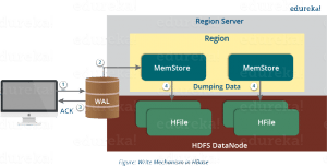HBase Architecture | HBase Data Model | HBase Read/Write | Edureka