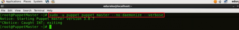 Install Puppet | Install Puppet In Four Simple Steps | Edureka