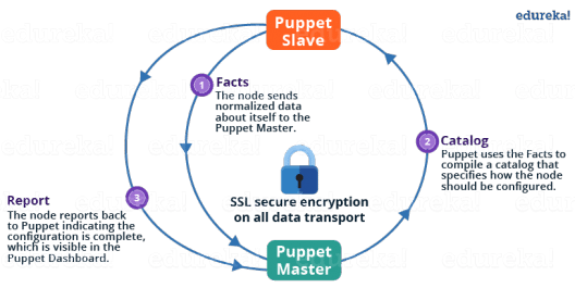 Puppet Tutorial | Puppet For Configuration Management | Edureka