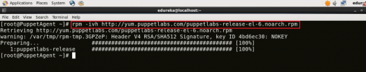 Install Puppet | Install Puppet In Four Simple Steps | Edureka