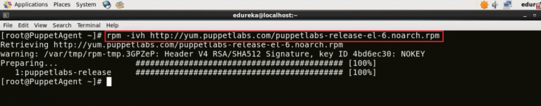 Install Puppet | Install Puppet In Four Simple Steps | Edureka
