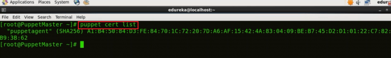 Install Puppet | Install Puppet In Four Simple Steps | Edureka
