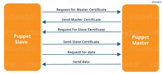 Top Puppet Interview Questions And Answers in 2025