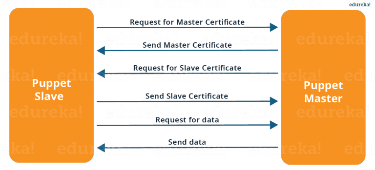 Top Puppet Interview Questions And Answers in 2025