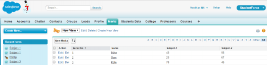 Salesforce Tutorial Learn How To Create Your Own Application