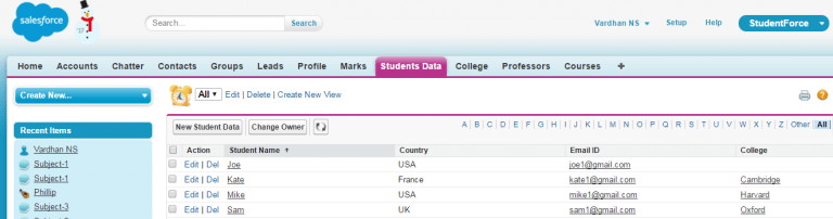 Salesforce Tutorial Learn How To Create Your Own Application