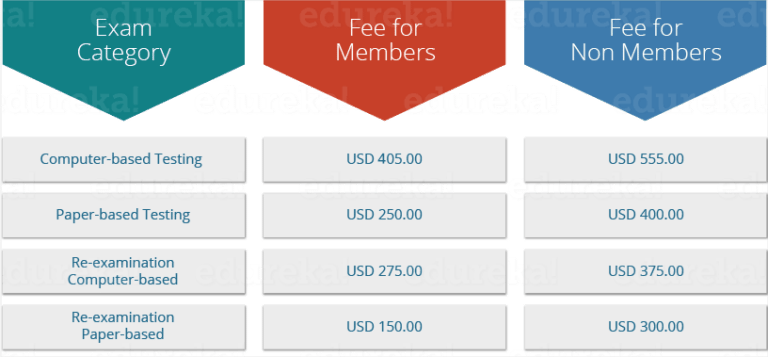 What is Project Management Professional (PMP)® Certification?