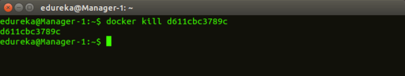 Docker Commands Tutorial Top 15 Docker Commands Edureka