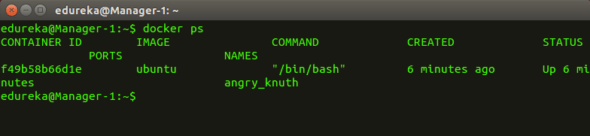 Docker Commands Tutorial Top 15 Docker Commands Edureka