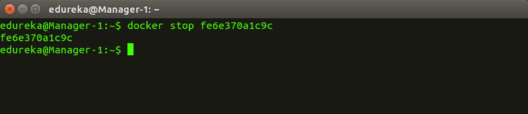 Docker Commands Tutorial Top 15 Docker Commands Edureka