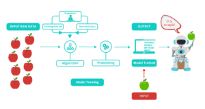 Machine Learning Tutorial | Machine Learning using Python | Edureka