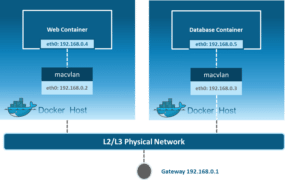 Docker Networking | Networking In Docker Containers With A Hands-On ...