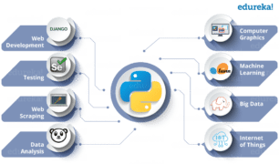 Python: Interesting Facts You Need To Know | Edureka