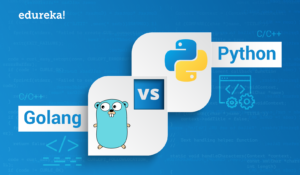 Golang-vs-Python-1-300x175.png