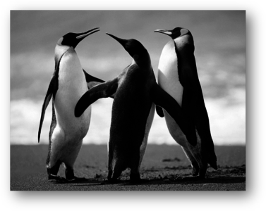 OpenCV Python Tutorial | Computer Vision Using OpenCV | Edureka