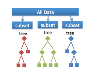 Complete Tutorial On Random Forest In R With Examples | Edureka