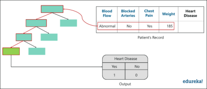 Complete Tutorial On Random Forest In R With Examples | Edureka