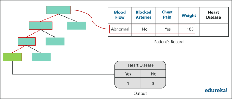 A Comprehensive Guide to Random Forest in R
