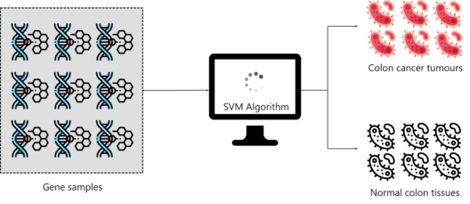 Support Vector Machine in R: Using SVM to Predict Heart Diseases