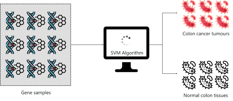 Support Vector Machine In R | Using SVM To Predict Heart Diseases | Edureka