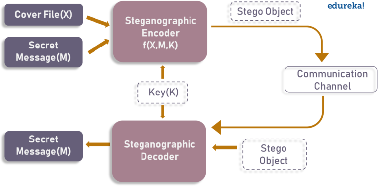 Steganography Tutorial | A Complete Guide For Beginners | Edureka