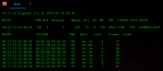 Ethical Hacking with Kali Linux: With Beginner & Advanced Techniques