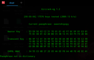Ethical Hacking with Kali Linux: With Beginner & Advanced Techniques