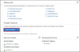Elastic Load Balancer Tutorial- 1 step solution for the uncertain | Edureka