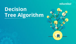 Decision-Tree-Algorithm-300x175.jpg