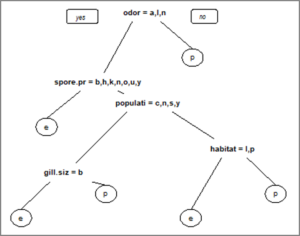 Decision Tree Algorithm Tutorial With Example In R | Edureka