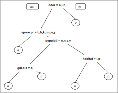 Decision Tree Algorithm Tutorial With Example In R | Edureka