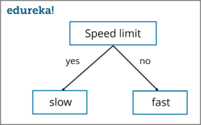 Decision Tree Algorithm Tutorial With Example In R | Edureka