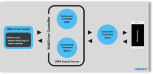Appium Tutorial for Beginners: How to Set up Appium | Edureka