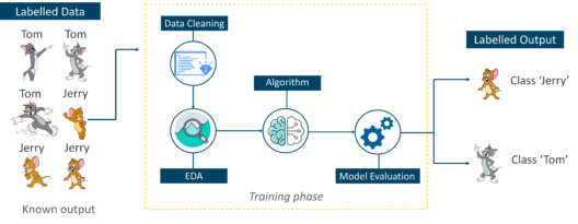 Introduction To Machine Learning | Machine Learning Basics | Edureka