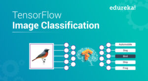 TensorFlow-Image-Classification-300x165.jpg