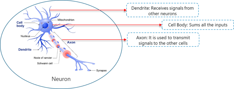 Artificial Intelligence With Python | Build AI Models Using Python ...