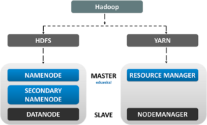 Hadoop Components that you Need to know about | Edureka