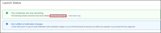What is Instance in AWS and Why Amazon EC2 is Important?