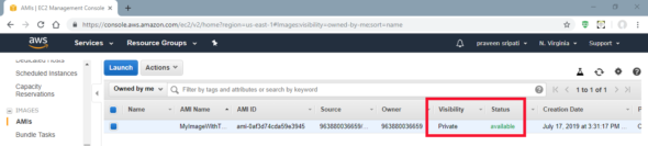 Launch an EC2 Instance From a Custom AMI |Edureka