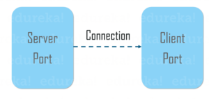Socket Programming in Java | Java Networking Tutorial | Edureka
