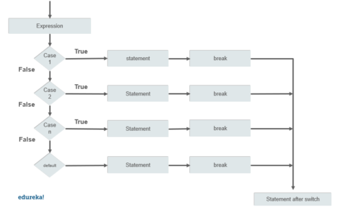 Switch Case in Java With Example - McGraw Doreas