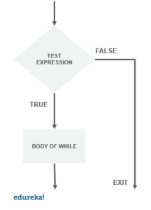 Python While Loop Statements | Decision Making In Python