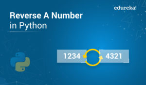 Reverse-A-Number-In-Python-1-300x175.jpg