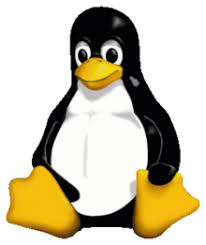 30+ Linux Commands for DevOps Success: Essential Tools and Technique