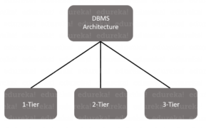 DBMS Tutorial | Learn about the Database Management System | Edureka