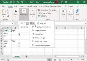 Excel Tutorial | A Beginners Guide to MS Excel | Edureka