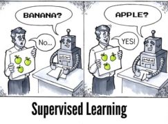 Supervised Learning | What is, Types, Applications and Example | Edureka