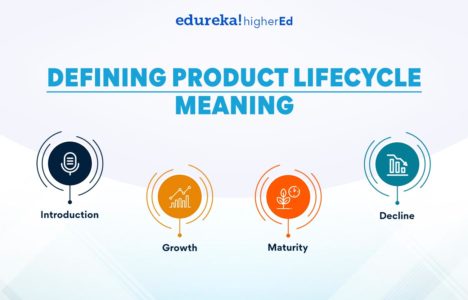 What Are The Stages And Examples Of A Product Lifecycle? - Edureka